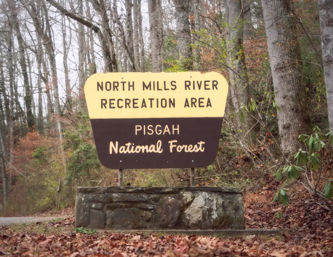 Invasive Plant Removal in North Mills River Recreational Area – The ...